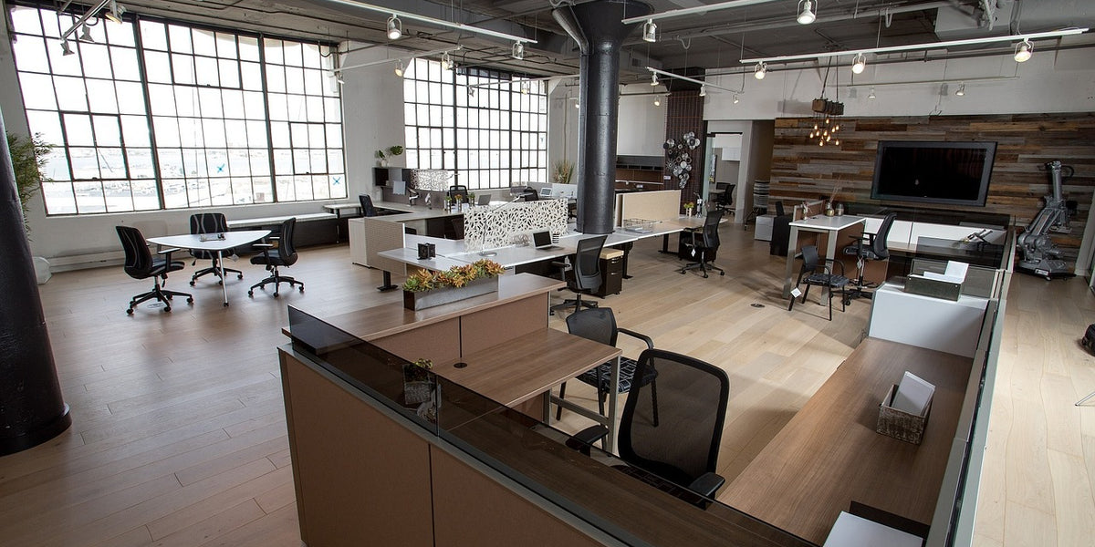 The Right Standard Cubicle Size for Your Office | Freedman's