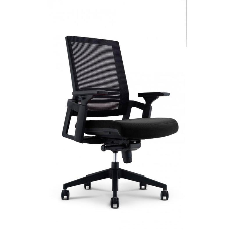 Fortuna Ergonomic Multi-Functional Chair | Freedman's™